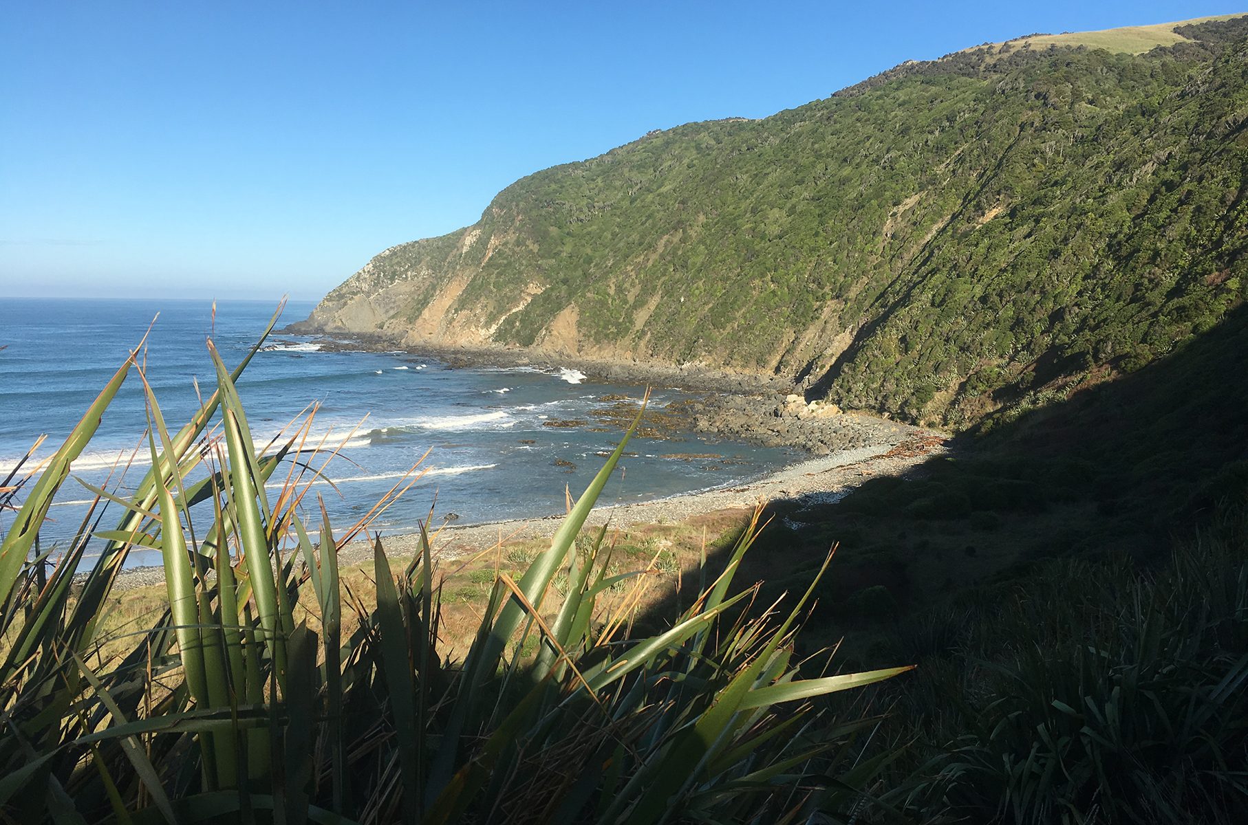 The Catlins – Southern Scenic Route